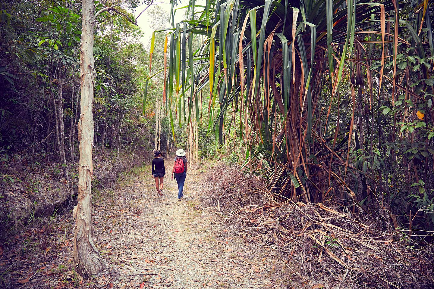 Discover More Activities At Rebak Island Resort & Marina